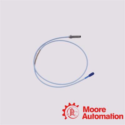 Cina 330101-00-19-10-02-05 Bently Nevada NSv Sistema di trasduttore di prossimità in vendita