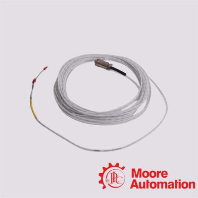 Cina 9571-30 Cavi di interconnessione standard Bently Nevada in vendita
