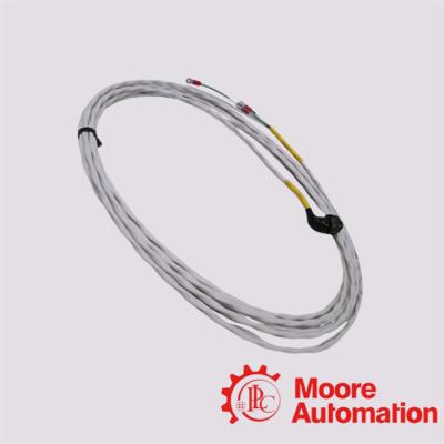 Cina 89477-17 Cavo di interconnessione Bently Nevada in vendita