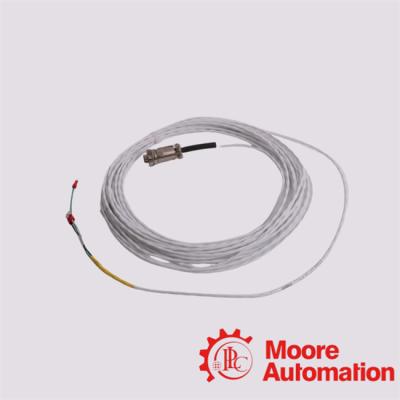 Cina 9571-10 Cavi di interconnessione standard Bently Nevada in vendita