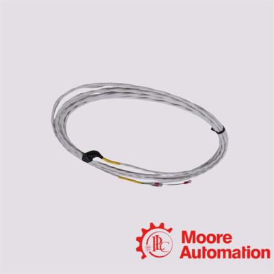 Cina 89477-20 Cavo di interconnessione Bently Nevada in vendita