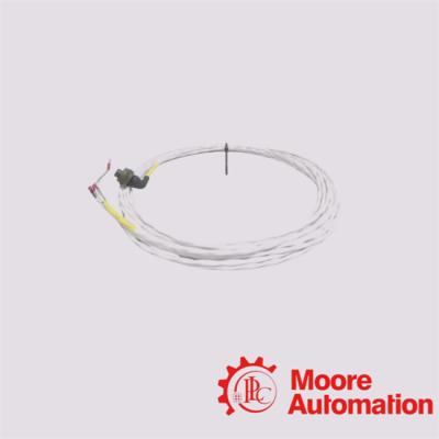Cina 89477-10 Cavo di interconnessione Bently Nevada in vendita