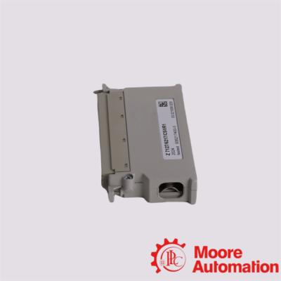 Cina Z7127 Modulo di ingresso analogico HIMA in vendita