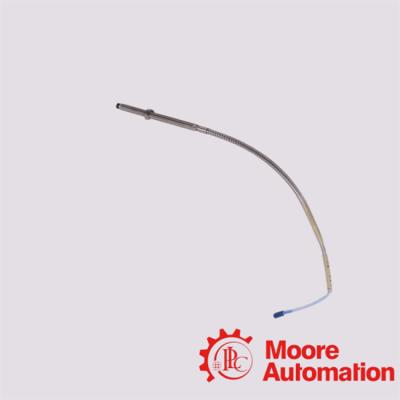 중국 330102-00-48-10-02-05 벤틀리 네바다 근접 탐사 시스템 판매용