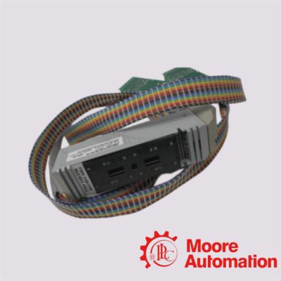 China P0902BP Foxboro  Wire-terminated Field Termination Cable And Assembly For The Foxboro I/A Series Distributed Control System for sale