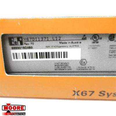X67DI1371.L12 B&R는 단락 보호를 가진 감지기 공급을 통합했습니다