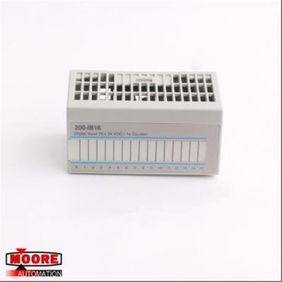 Cina S200-IB16  200-IB16 , 490176059  ABB  Digital Input Module in vendita