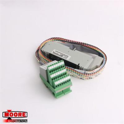 China FBM4/39/44  P0500RY  FOXBORO I/A Series Termination Cable for sale