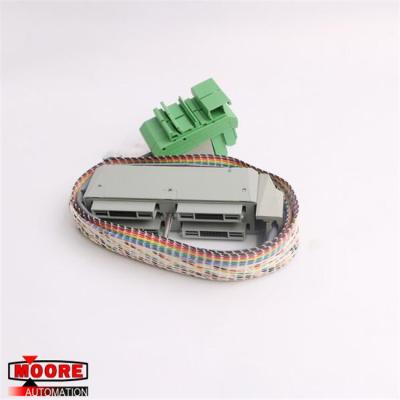 China FBM2/36  P0500RG  FOXBORO  Termination Cable Assembly for sale