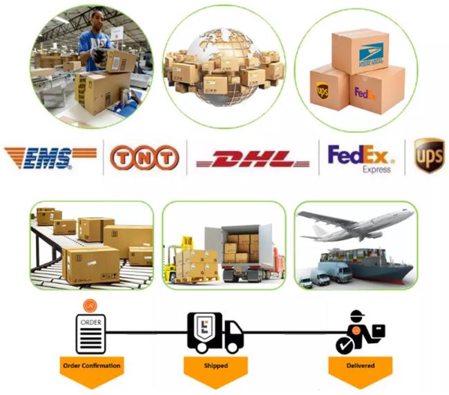 Hot Sale HOWO Front Brake Chamber Wg9000360100