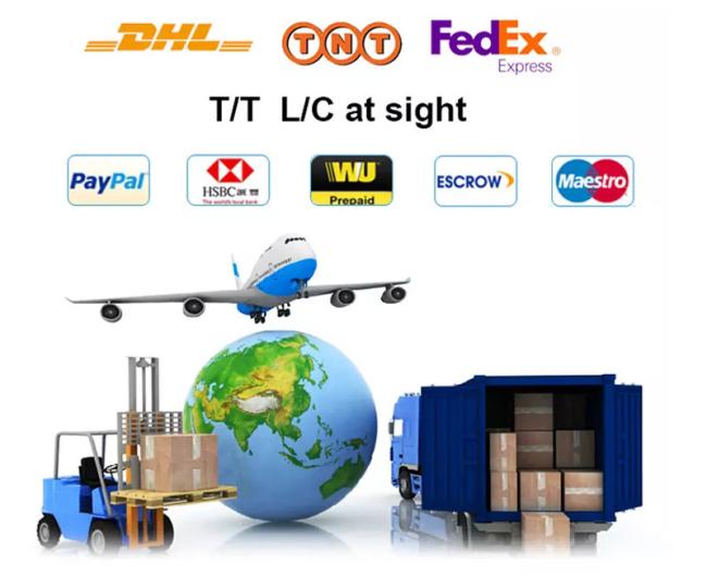 Sinotruk Truck Engine Part Vg1246080036 Injector for Truck