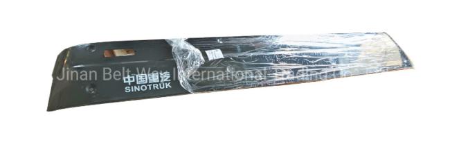 Sinotruk Sun Visor Wg1642879231 for Sinotruk Shacman Foton FAW Truck Spare Parts