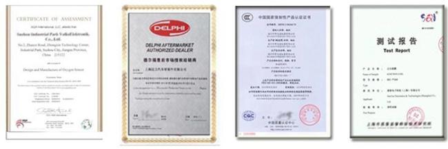 Customized HOWO D12 Engine Spare Parts Vg1246030015 Piston