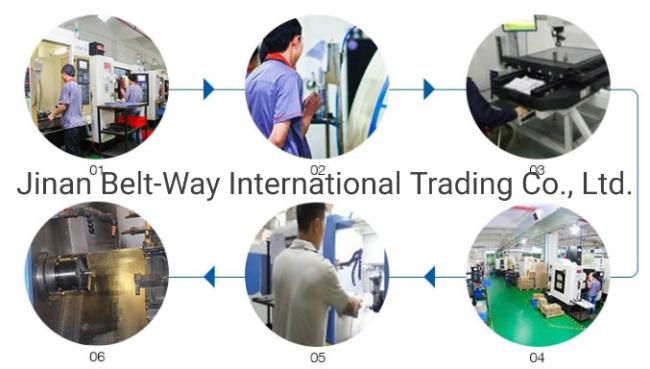 Factory Direct New Design Injectors for Sinotruk Parts Vg1246080051