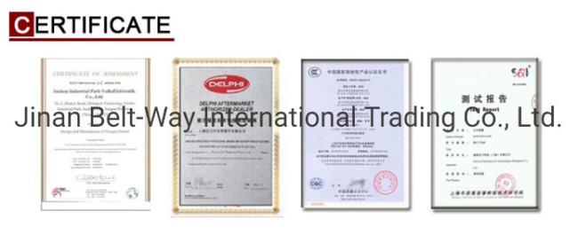 Factory Direct New Design Injectors for Sinotruk Parts Vg1246080051