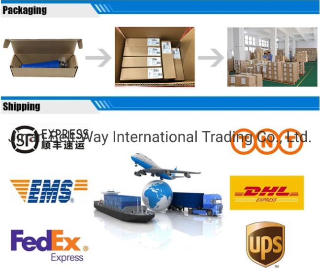 Factory Direct New Design Injectors for Sinotruk Parts Vg1246080051