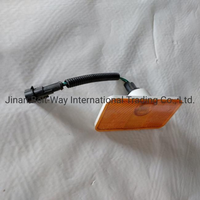 Sinotruk HOWO Truck Parts Truck Spare Parts Side-Marker Lamp Wg9100720012/2