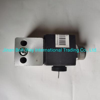 Cina Sinotruk HOWO Parti del motore del camion Batteria Valvola magnetica Wg9100710008 in vendita