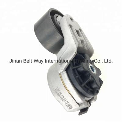 Китай Выплата поддержки в долларах США Sinotruk HOWO Wechai Engine Tensioner Pulley Vg2600060313 продается
