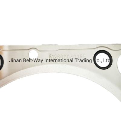 China Pagamentos seguros dentro de peças de caminhão de aço engrenagem de cilindro 612600040355 à venda