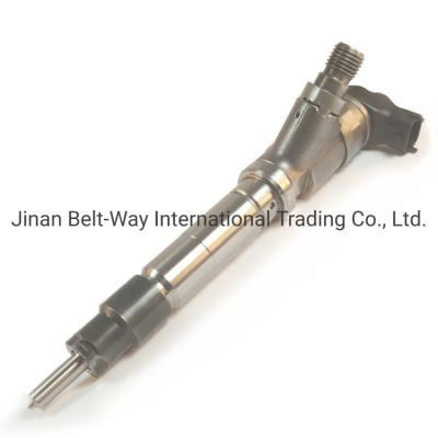 China Design de motor de caminhão Vg1246080051 Injetor Common Rail com combustível diesel padrão à venda