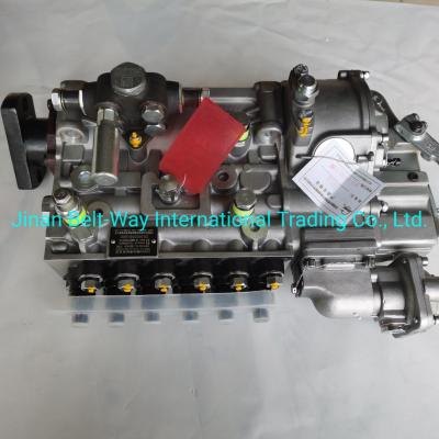 China Sinotruk HOWO Truck Parts Fuel Injection Pump Vg1560080021 met USD betalingsteun Te koop
