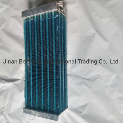 Cina OEM Shacman Radiatore per aria condizionata per camion Dz1600840120-Kt per parti di sistemi elettrici in vendita