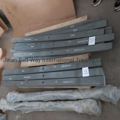 Chine Sinotruk HOWO Pièces pour camions Printemps à feuille d'acier Wg9725520283 avec technologie de pointe à vendre