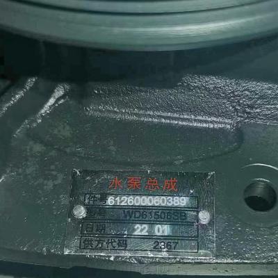 China Weichai Power Diesel Engine Water Pump 612600060389 with Every Payment Protected for sale