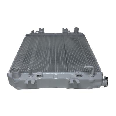 Cina R9621-331000-000 Radiatore idraulico per il sistema di raffreddamento HANGCHA CPCD30 in vendita