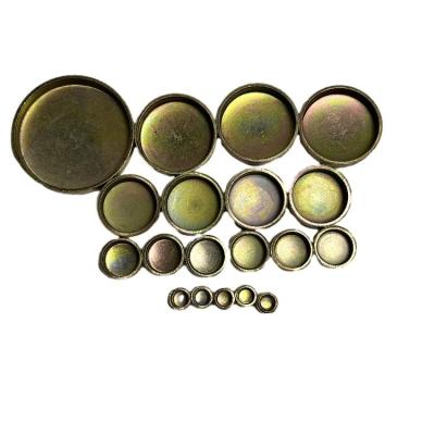 China Motor Transport Appliance OEM NO 490B-01009 Engine Plug for C490BPG 490BPG Engine for sale
