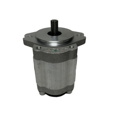 Cina Potente pompa G160-536001-000 per carrelli elevatori CBHCA-F16-AL9 per CPCD200-250 Peso 3,2 kg in vendita