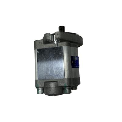 Cina Potente pompa G160-536001-000 per carrelli elevatori CBHCA-F16-AL9 per CPCD200-250 Peso 3,2 kg in vendita