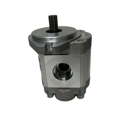 Cina Potente pompa G160-536001-000 per carrelli elevatori CBHCA-F16-AL9 per CPCD200-250 Peso 3,2 kg in vendita