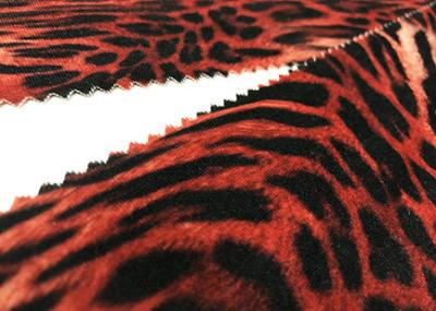 Cina Tessuto del velluto del poliestere di 260GSM Velboa per la larghezza del Dress Tiger Pattern 150cm di signore in vendita