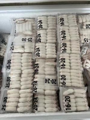 frozen meat shelf life