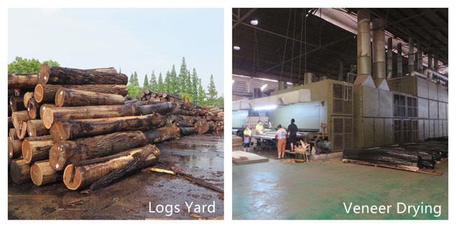 Carya Rustic Hickory Veneer 120mm Natural Wood Veneer ISO9001 1