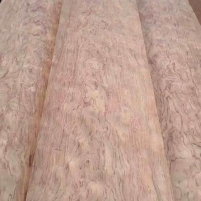 Cina Carta naturale sottile, finitura di legno, finitura di pioppo. in vendita