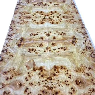 China Glanzige papier achterlaag, Kraft Poplar Burl Veneer Houten Platen Voor Ronde Tafel Te koop