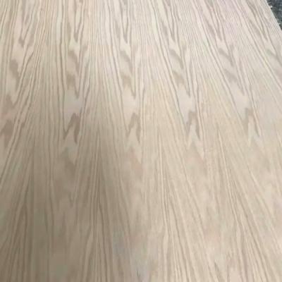 Cina Carta rossa con supporto di quercia rivestimento di arredamento naturale 1250*2500mm in vendita