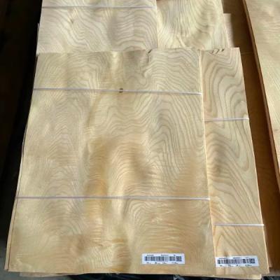 Cina 0.50mm Carta di supporto Veneer Naturale American White Ash Burl Legno di copertura in vendita