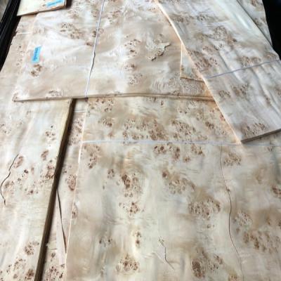 Cina AA Borla Legno Veneer Naturale Carta di Mappa Legno compensato impermeabile Durable in vendita