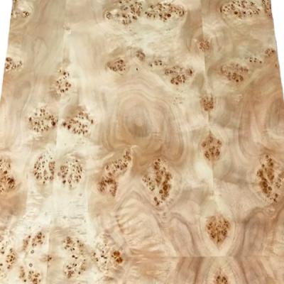 Cina 0.50mm di legno burl veneer naturale di noce americana mappa con velluto in vendita
