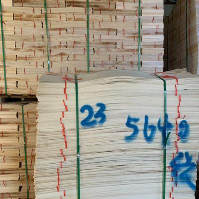 China Folhas de revestimento de álamos de madeira compensada 0,8-3,0 mm B1 Painéis de piso de madeira à venda