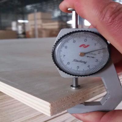 Cina Legno duro composito in compensato rivestito di vetro, 4x8 piedi di legno di betulla con faccia di pioppo in vendita