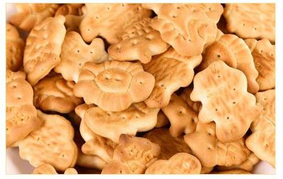 Cina Cadburys Glassato Cioccolato Animale Cracker Biscotti Leone Tigre Forma Coccodrillo in vendita