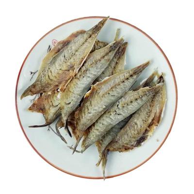 Cina Confezione portatile Pesce di mare essiccato 24 mesi Shelf life HACCP in vendita