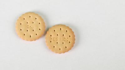 Cina 100g Abernathy Cookies With Certificate MOQ 100CTN Sweet Taste Various Vitamins in vendita