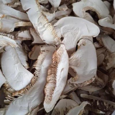 Cina 500g Food Family Pack Dried Sliced Shiitake Mushrooms MOQ5CTN in vendita