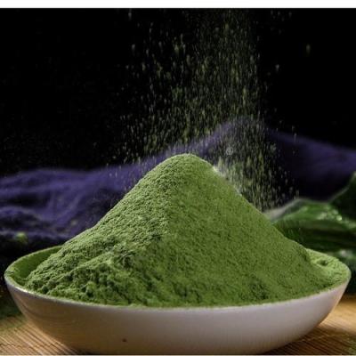 Cina Fresh Vegetable Spinach Powder Bulk Organic Red Spinach Extract in vendita